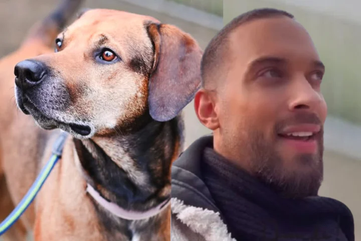 Ex-BTN-Star Leroy Leone im Berliner Tierheim fast zu Tränen gerührt ...